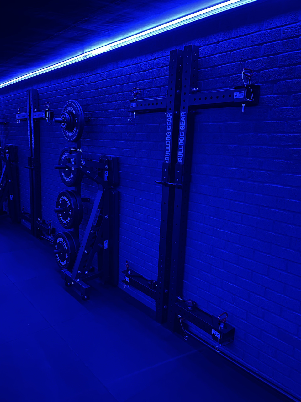 A Dream Becomes A Reality - Physical Blueprint